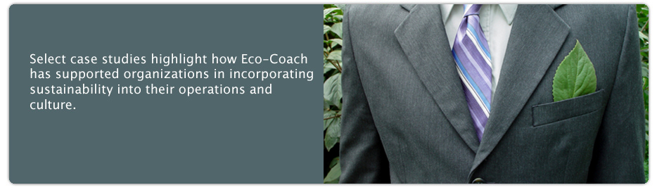 Business Case Studies | Case Studies by Eco-Coach